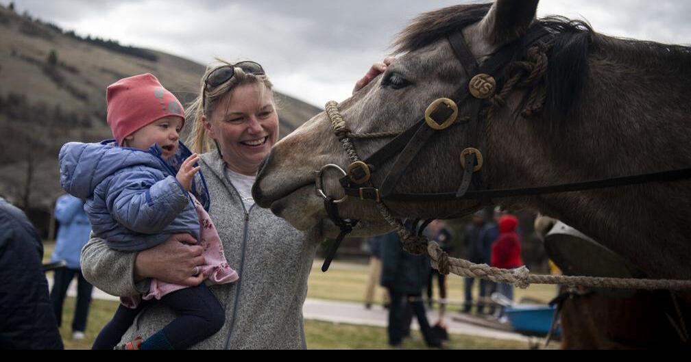 Pack mule train strolls the Oval