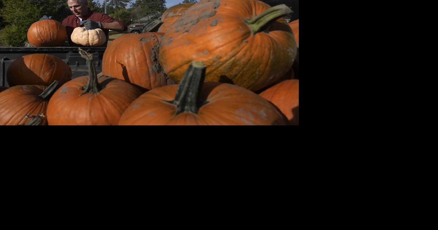 Pumpkins for the Pov benefits Missoula homeless shelter
