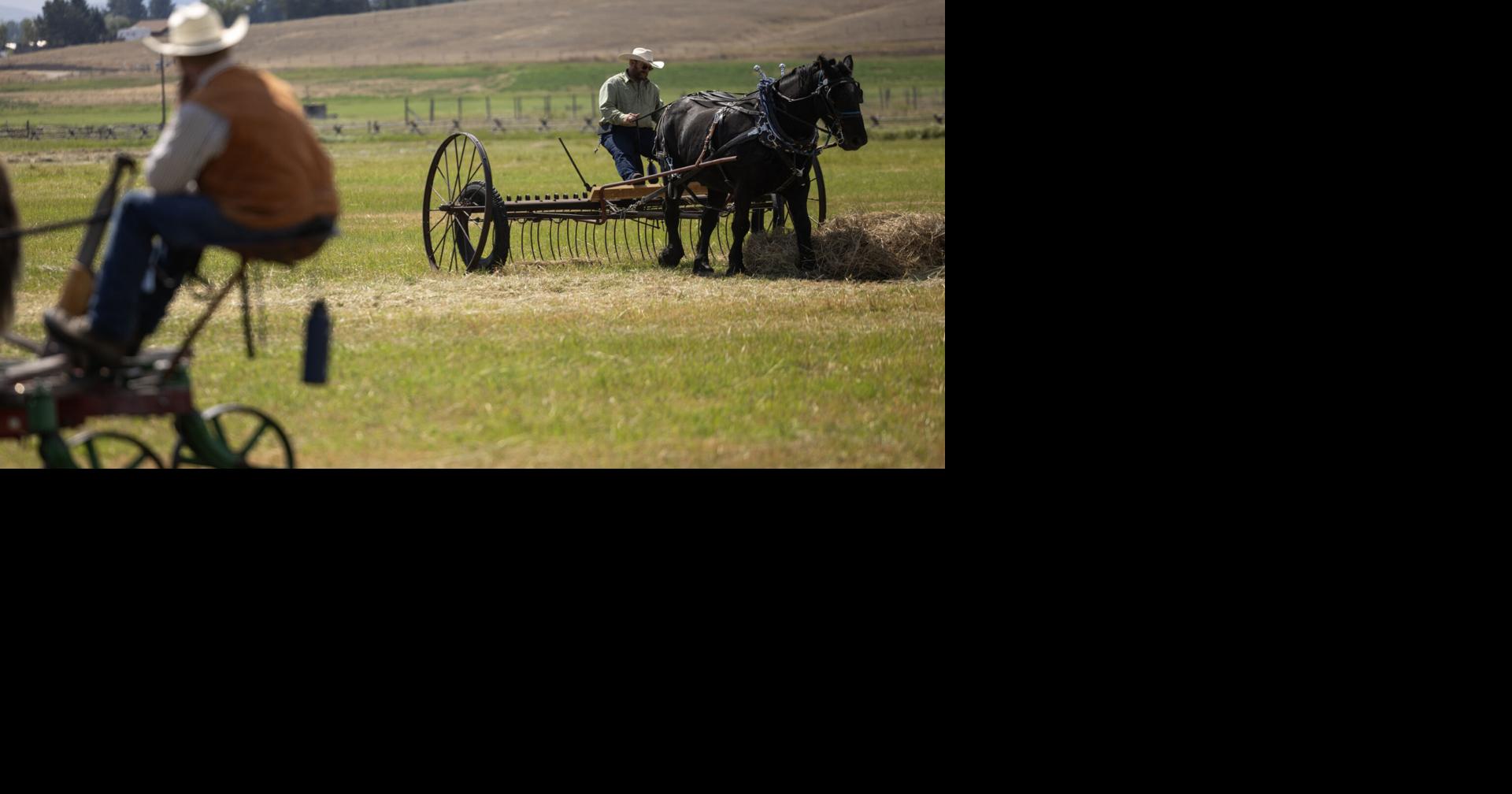 Haying demonstration at historic Montana national park ranch