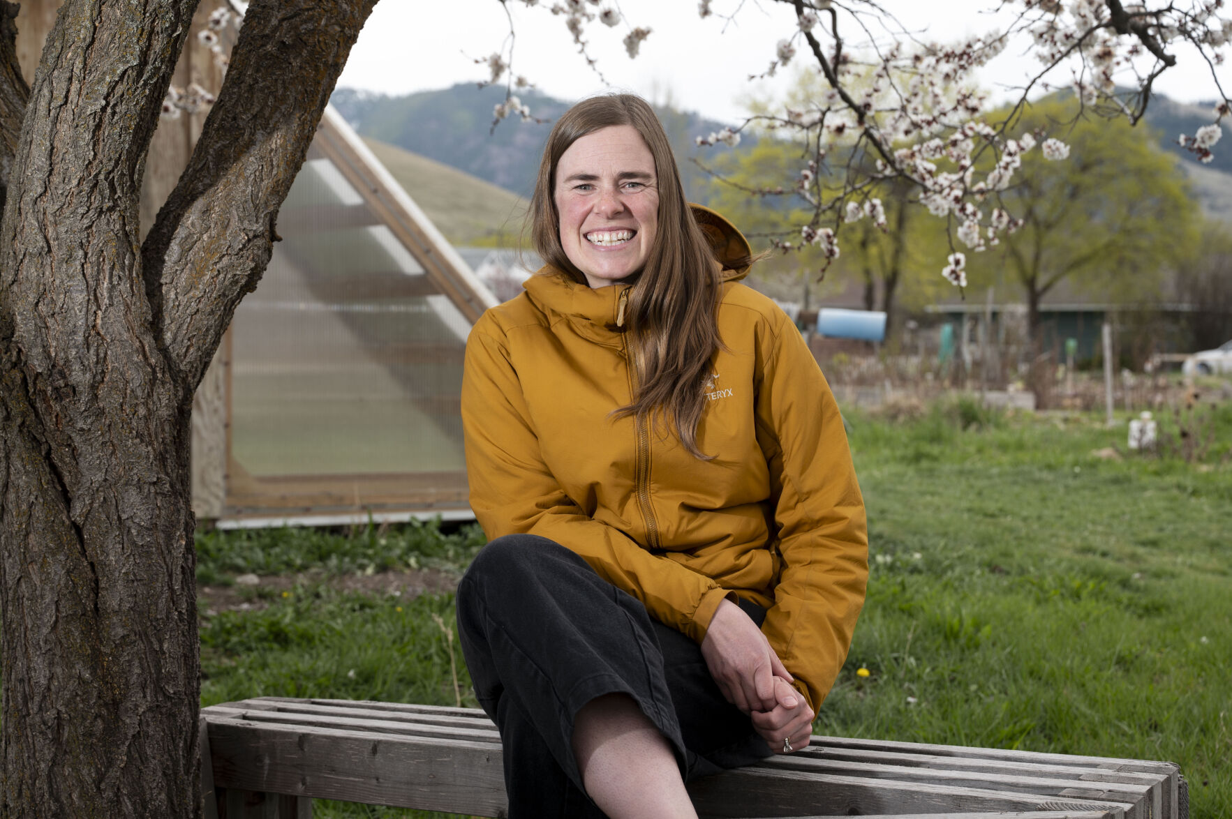 New faces to represent Missoula's Ward 1, Ward 2