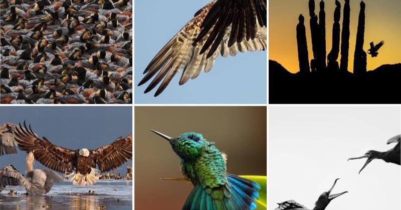Explore Point-of-Rocks Trail with Audubon