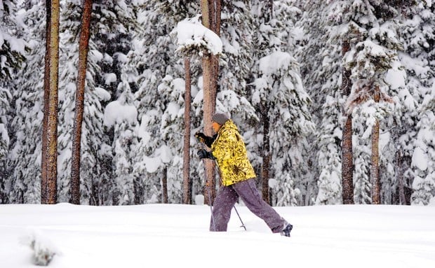 Chief Joseph Pass trails offer peaceful skiing