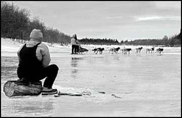 Lincoln's Swingley has Nome in sight