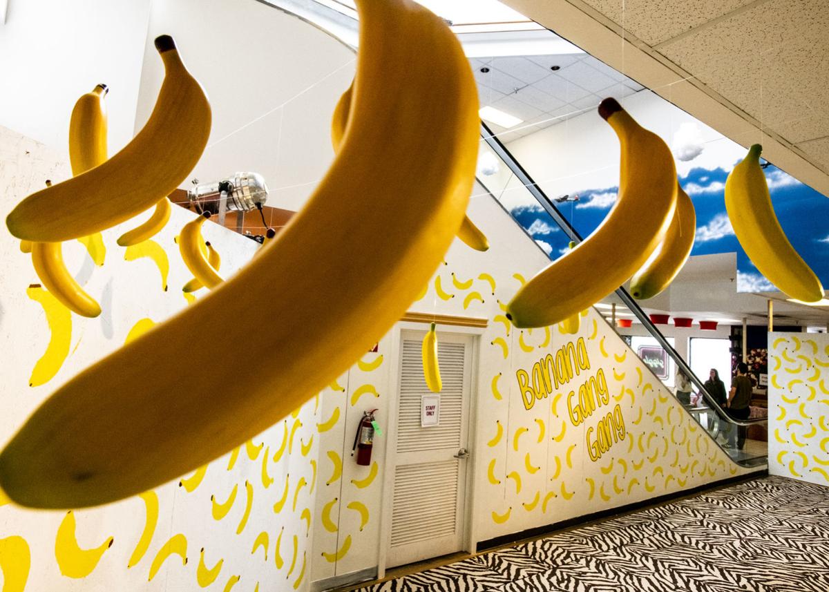 The Giggle Box: Montana's first interactive art museum opens to public ...