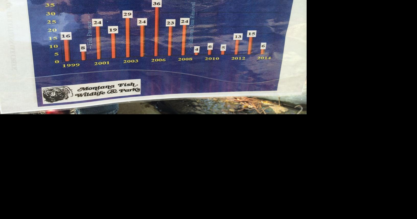 Montana FWP biologist: Despite successes, bull trout populations still ...