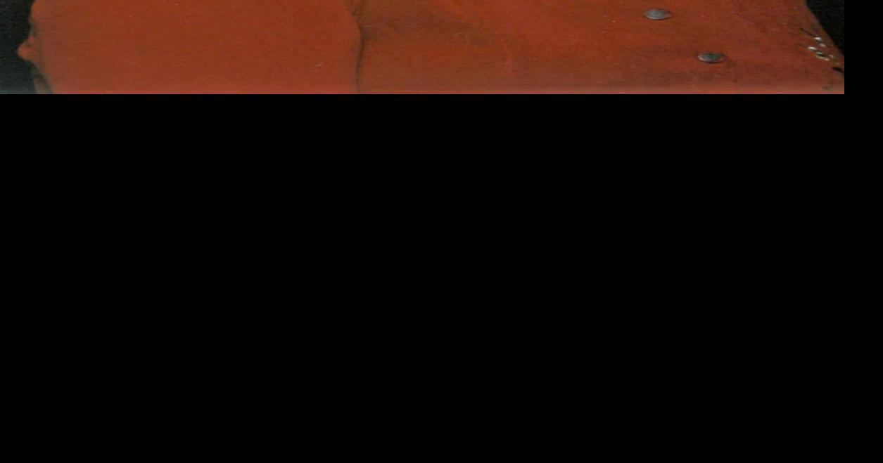 Emma Jo (Jodi) Infanger Bergman