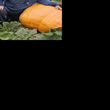 James "Jim" David West