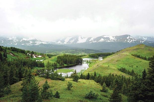 Buffalo Lakes: Mountain wetland flush with wildlife