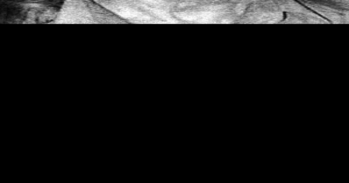 Francis Warren Switzer Jr.