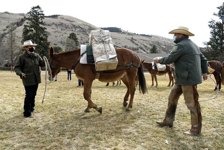 Mules on the Oval: Pack string promotes UM summer courses
