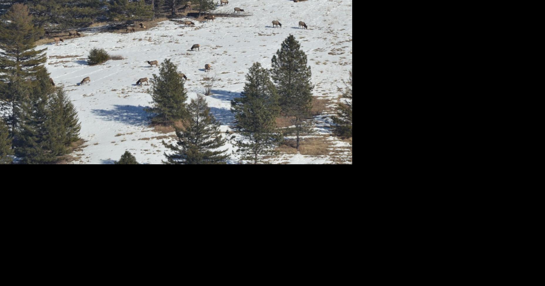 Uptick in trespassers violating Mount Jumbo trail closure