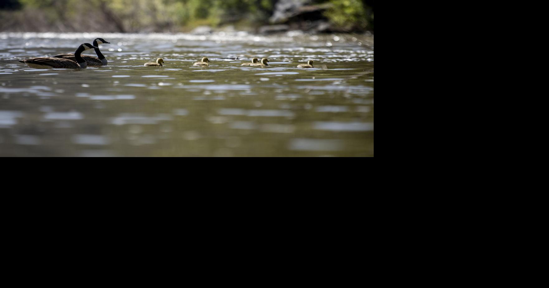 Parking changes, construction starting on MT Highway 200