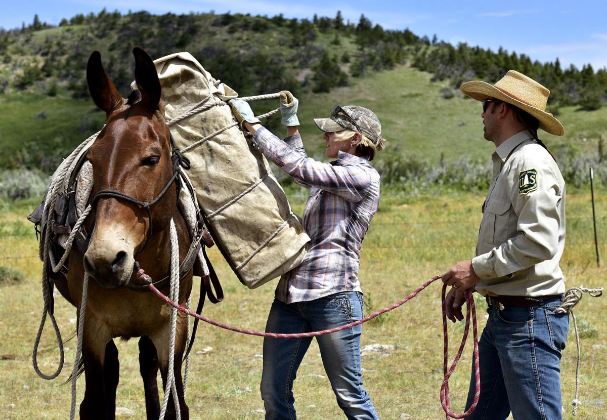 Hiring freeze lifted for Forest Service seasonal workers