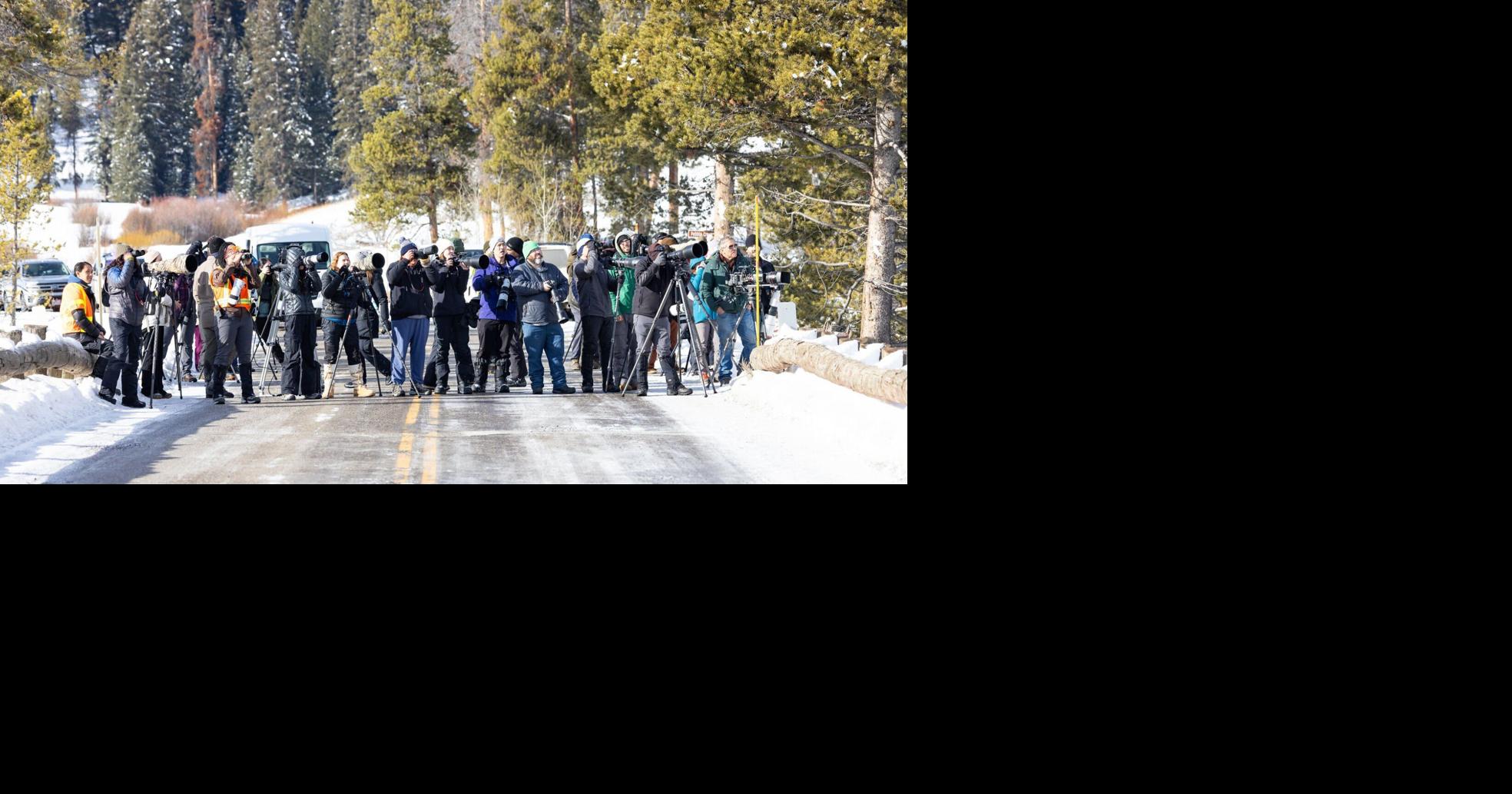 Montana sees more tourists, less tourist spending