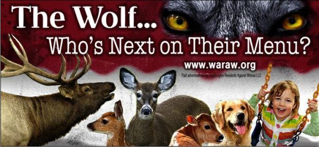 Polarized wolf groups battle with billboards