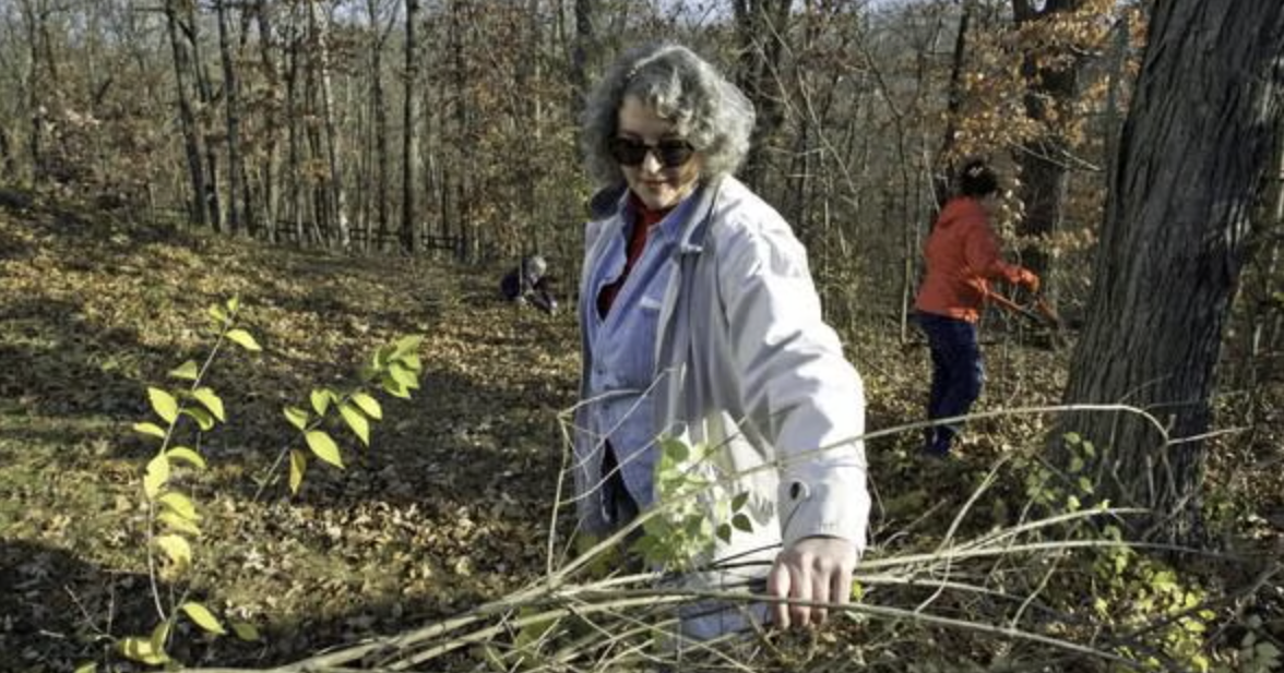 MDC to host free invasive species workshop | News | missourian.com