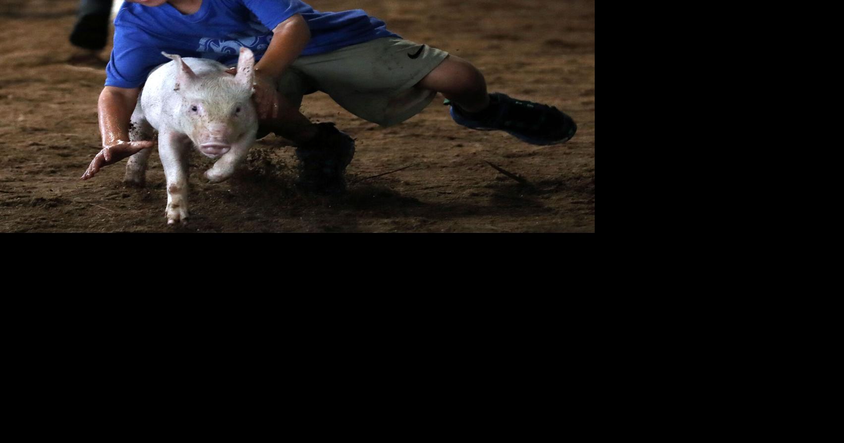 PHOTO GALLERY: Kids sprint, slip and run trying to catch pigs | Fair ...