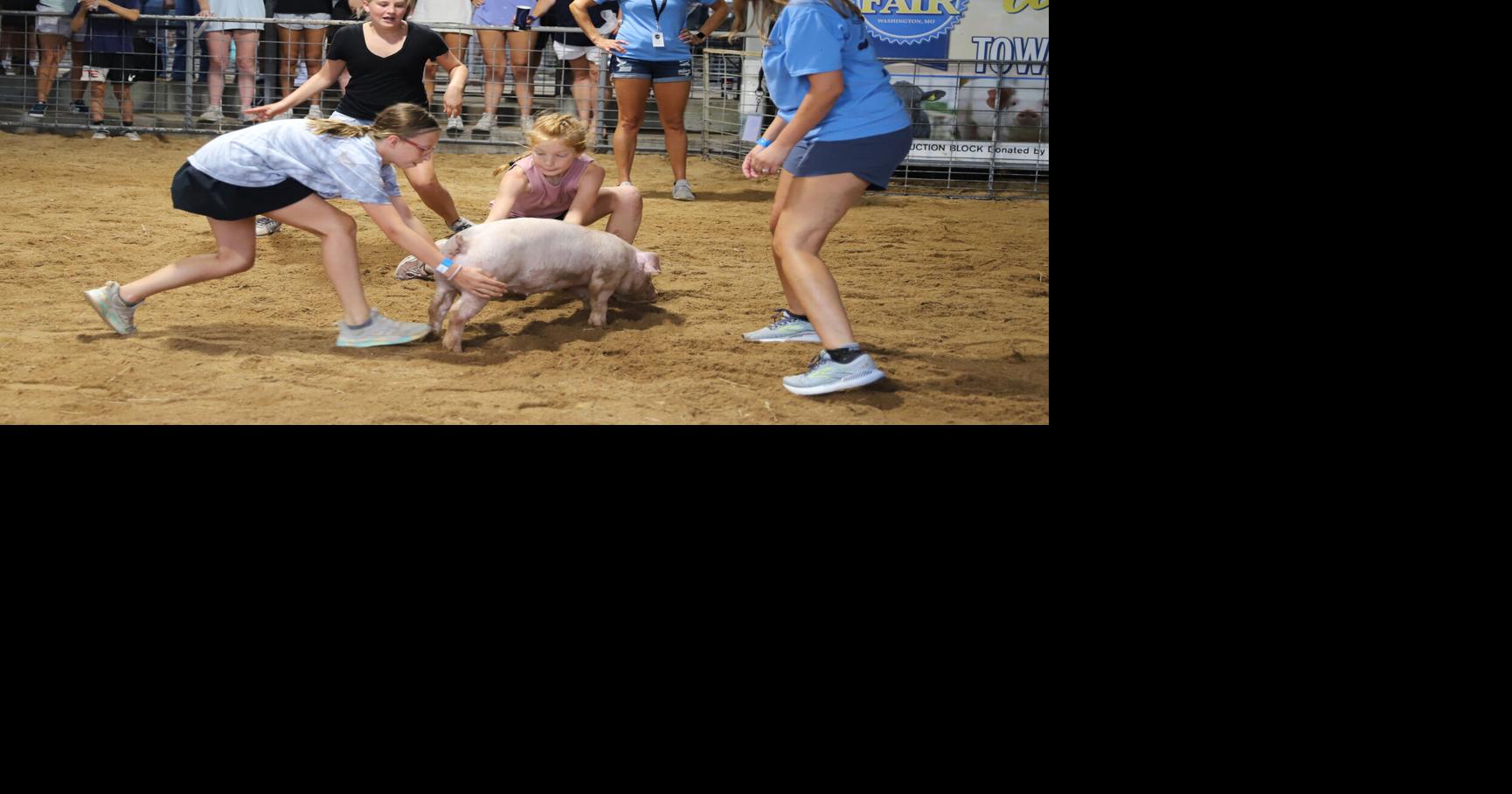 PHOTO GALLERY: Pig chase at the Fair | Gallery | missourian.com