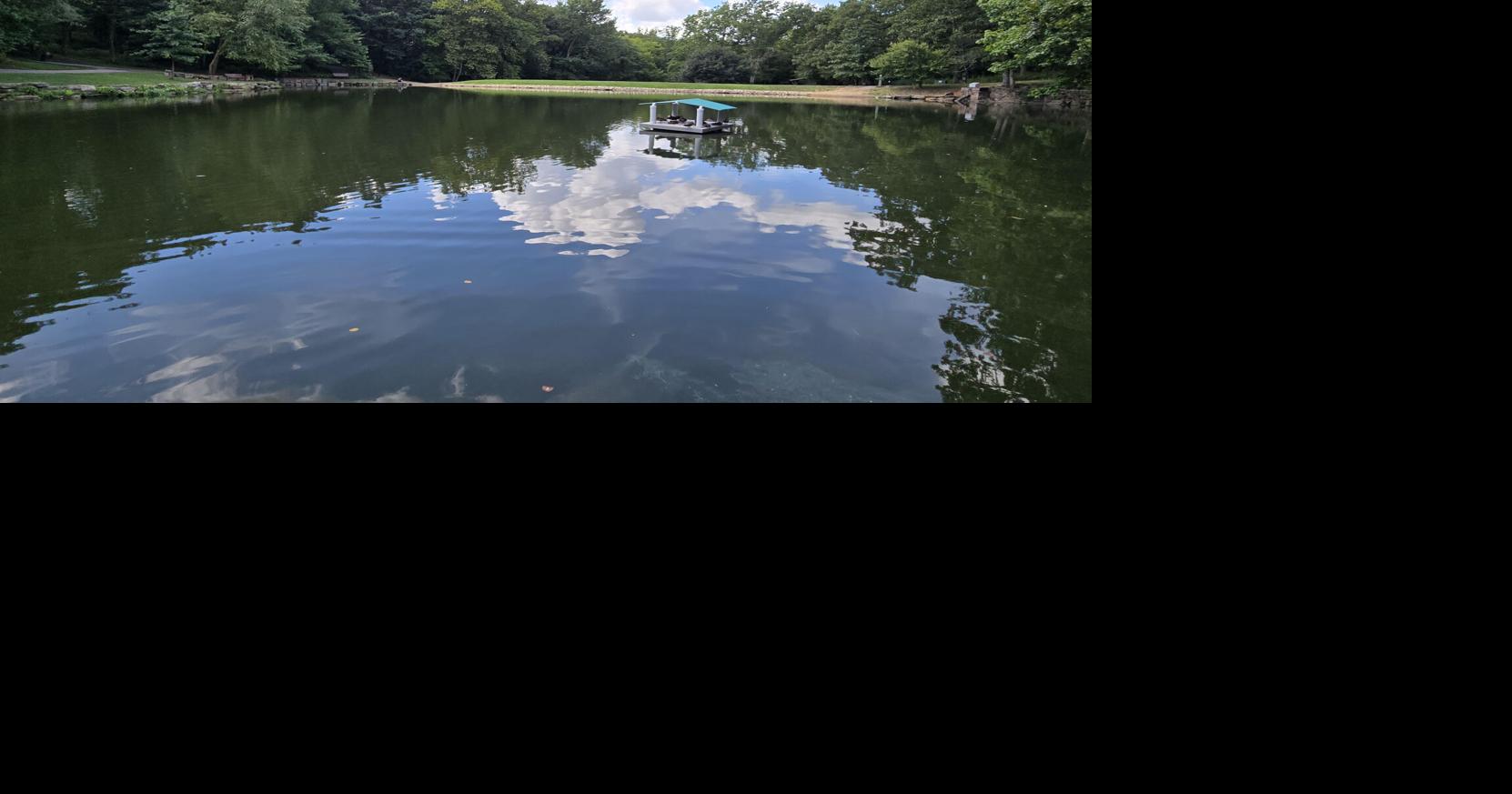 Folsom: A nice walk in the woods at Watson Trail Park | Opinion ...