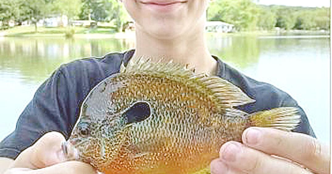 world record sunfish