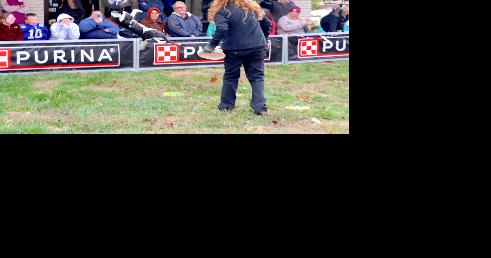 PHOTO/VIDEO GALLERY: Incredible Dog Team headlines PawFest in Union ...