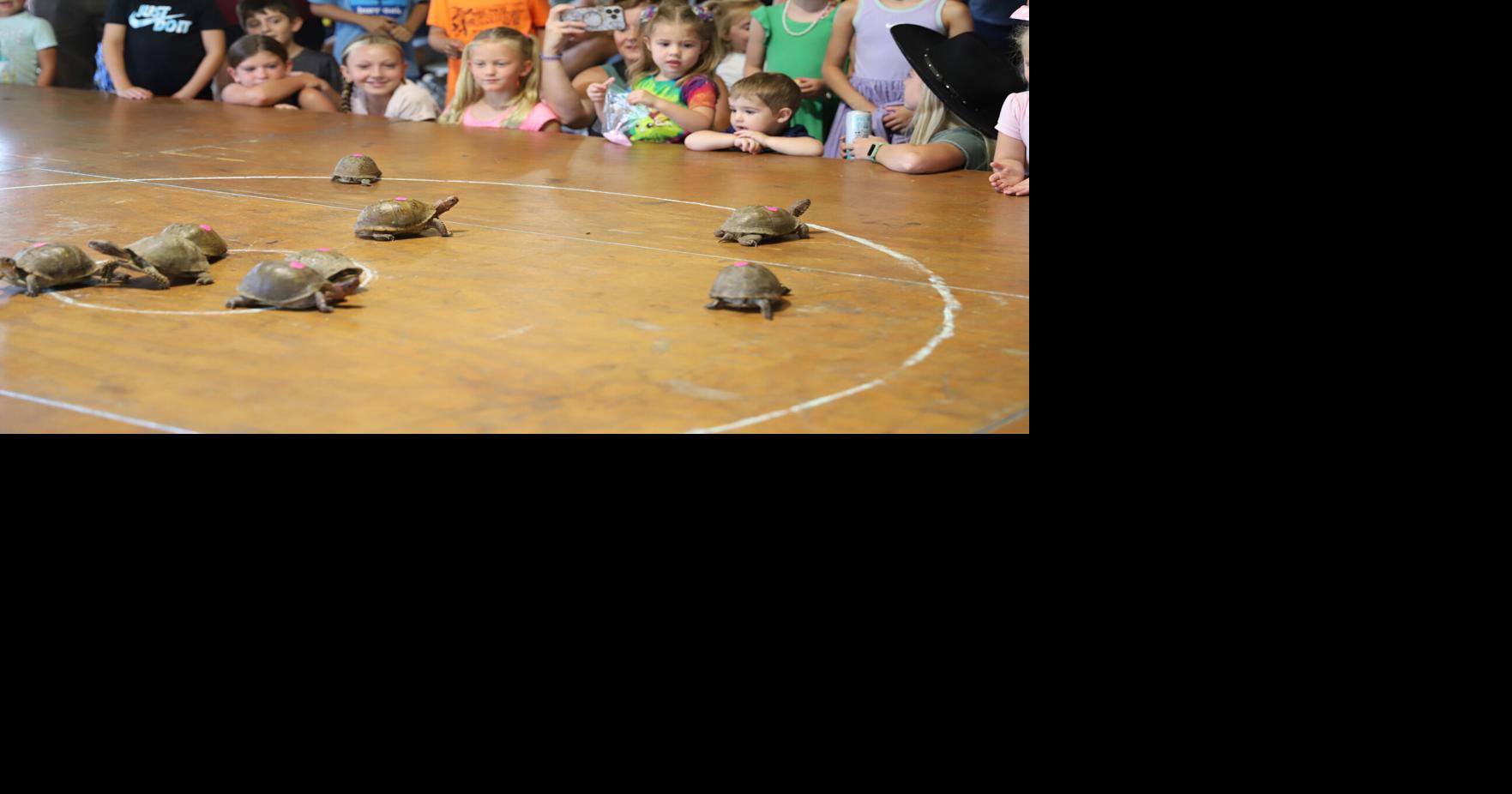 PHOTO GALLERY: Off to the Turtle Races | Gallery | missourian.com