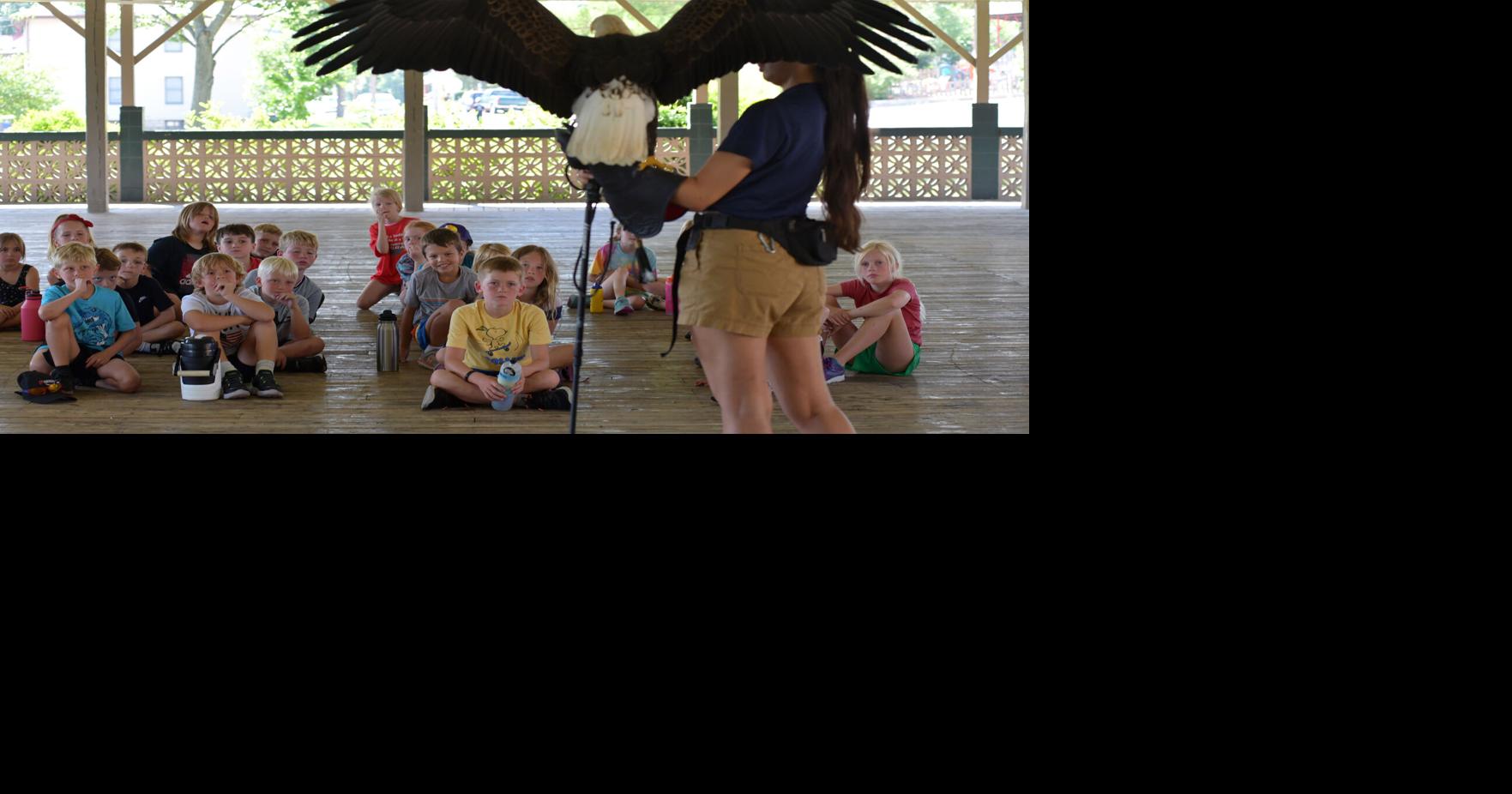 Murphy, a beloved bald eagle who became a foster dad, dies following ...