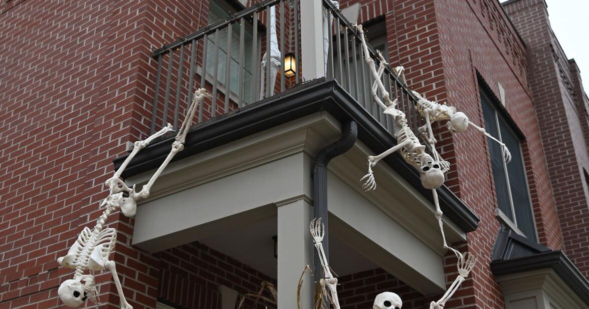 PHOTO GALLERY: Halloween Scenes in the Washington Area | Local News ...