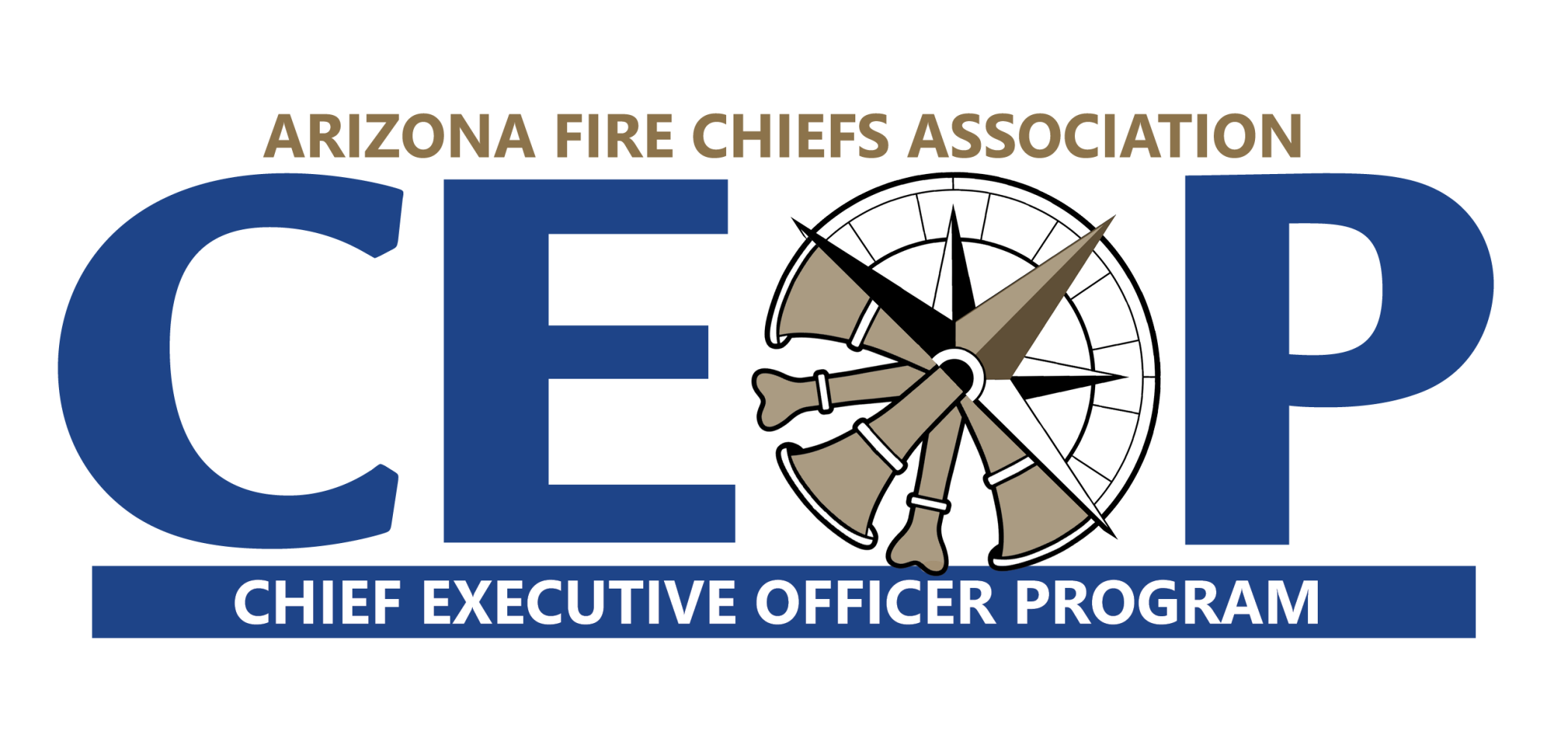 Three area fire officials graduate from Chief Executive Officer Program ...
