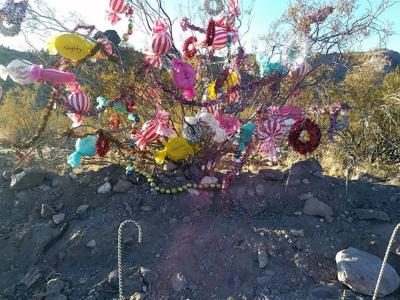 Oatman Chamber hosts 35th Christmas Bush decorating contest | News ...