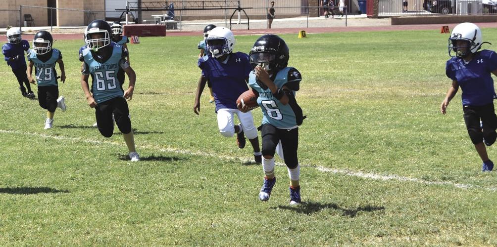 Toros, Warriors usher in new era of youth football | News ...