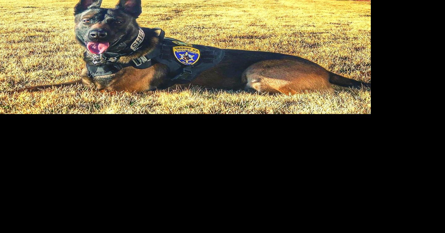 MCSO mourns loss of K9 Brutus | News | mohavedailynews.com