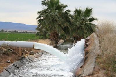 Irrigation and Drainage District re-elects two board members | Politics ...