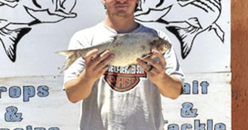 Friday fishing report: Gizzard shad can get big enough to catch | News ...