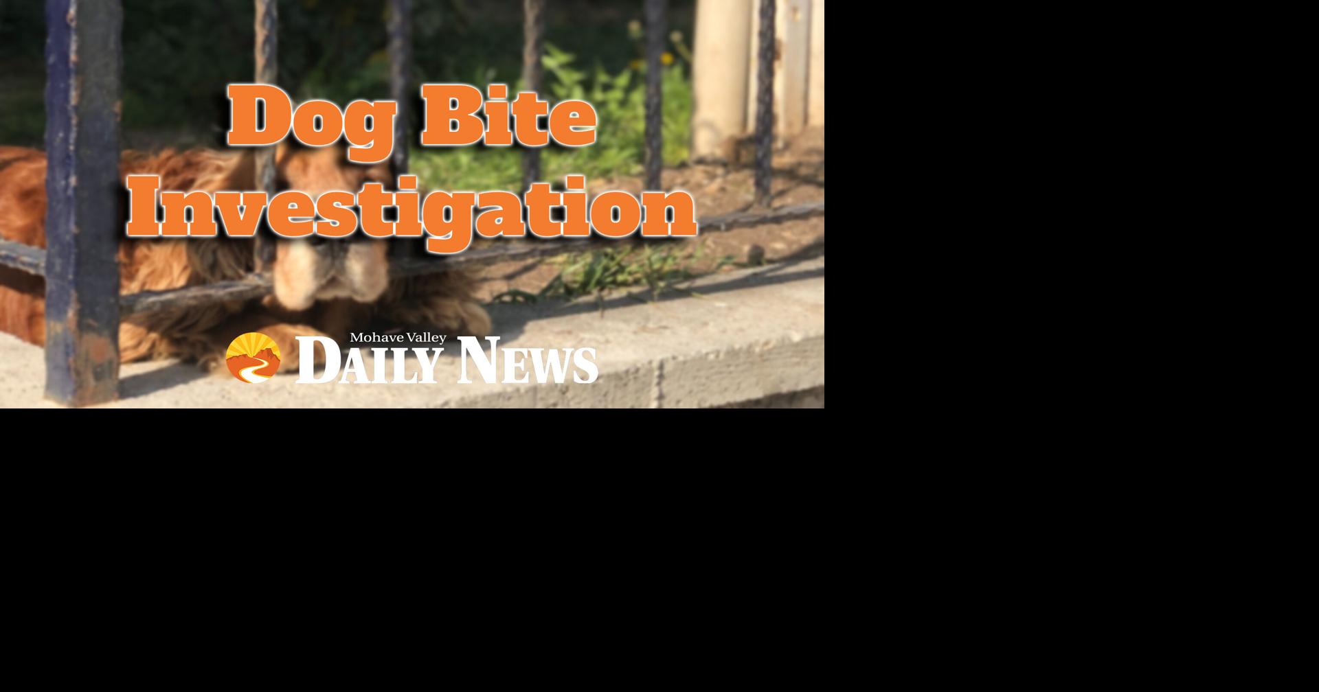 Dog sought after Thursday morning bite | News | mohavedailynews.com