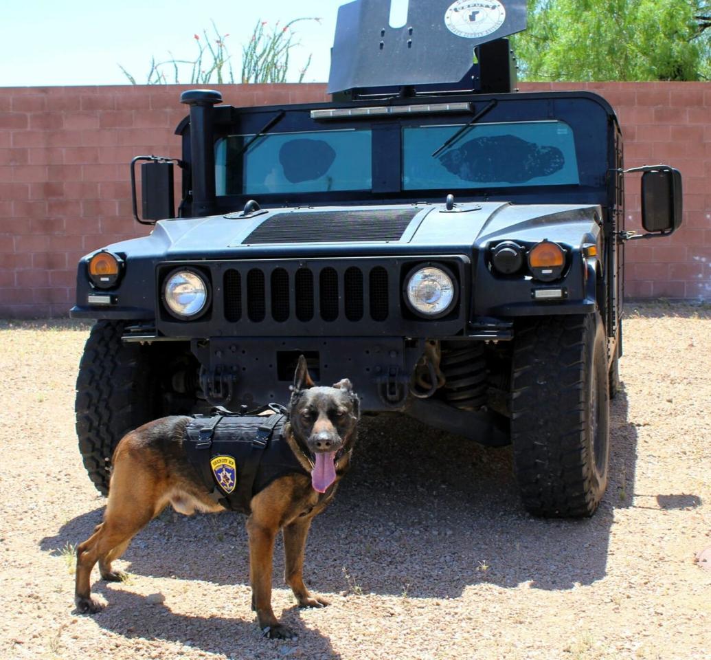 Donation: K-9 ballistic vests for MCSO units | News | mohavedailynews.com