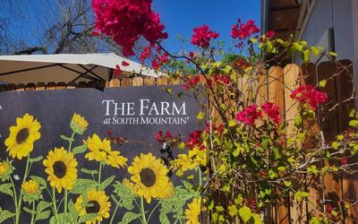 Where flower fields historically grew, the next generation of farmers ...