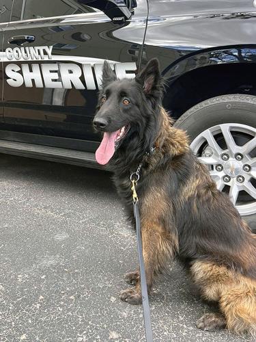 Mohave County Sheriff's Office turns out for SOAR car show fundraiser ...