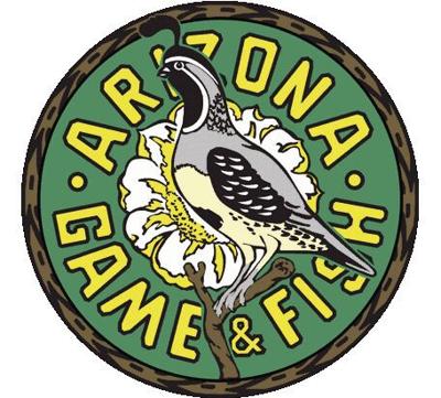 Arziona Wildlife Views returning to a TV near you | News ...