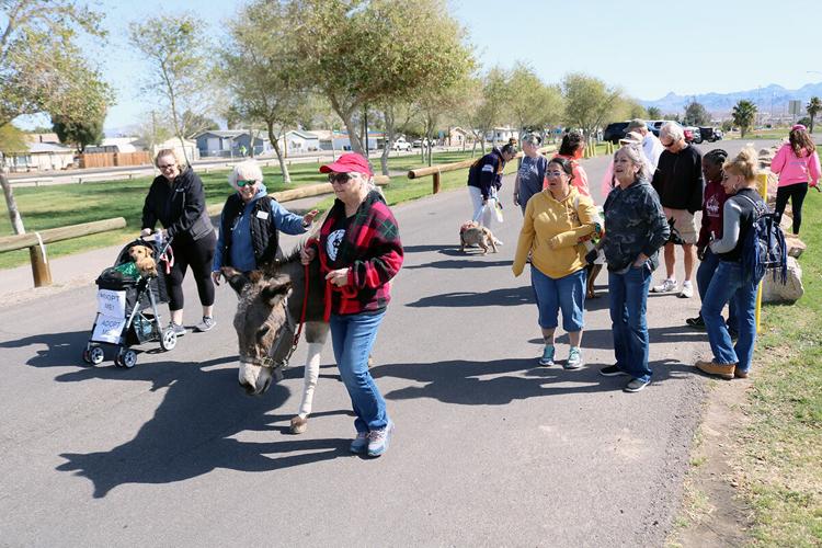 A paws to remember: Wiggle Waggle Walk honors Nikki Reagan | News ...