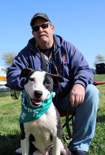 A paws to remember: Wiggle Waggle Walk honors Nikki Reagan | News ...