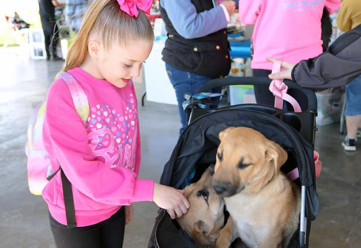 A paws to remember: Wiggle Waggle Walk honors Nikki Reagan | News ...