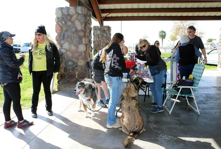 A paws to remember: Wiggle Waggle Walk honors Nikki Reagan | News ...