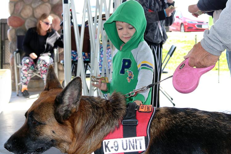 A paws to remember: Wiggle Waggle Walk honors Nikki Reagan | News ...
