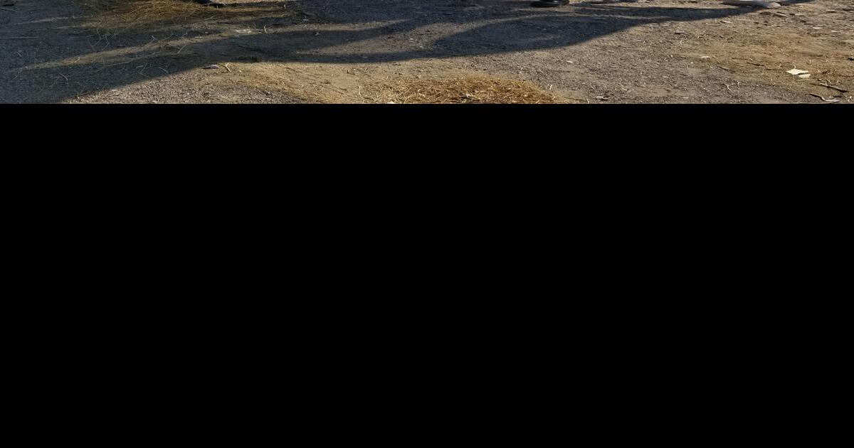 Bullhead City a "Purple Heart City" | Local News | mohavedailynews.com