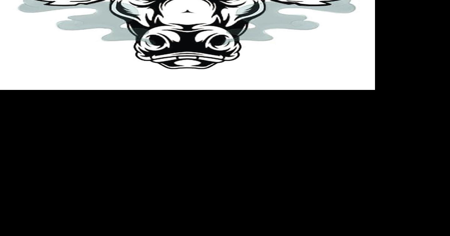 Tri-State Toros offering flag football tackle football and cheer | News ...