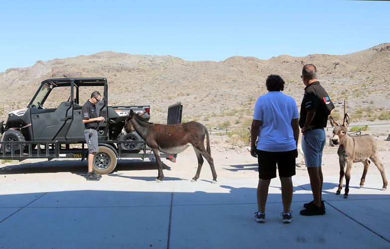 When lightning strikes: ARPA funds purchase White Lightning UTV for ...