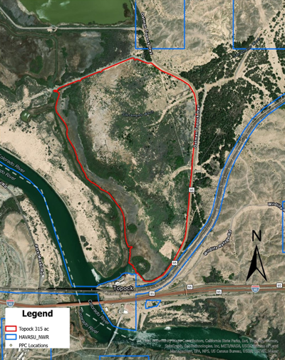 Prescribed burns planned on refuge land at Topock marsh, Bill Williams ...