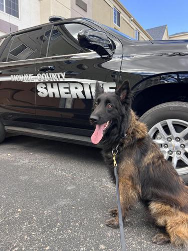 Mohave County Sheriff's Office welcomes team K9 Ace and Deputy Salvador ...