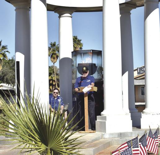 D'Amico: Honoring veterans should be daily occurrence | News ...